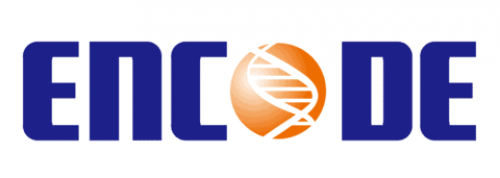 Seberapa Pentingkah Kualitas Produk dan Metode Swab Dalam Pengambilan ...